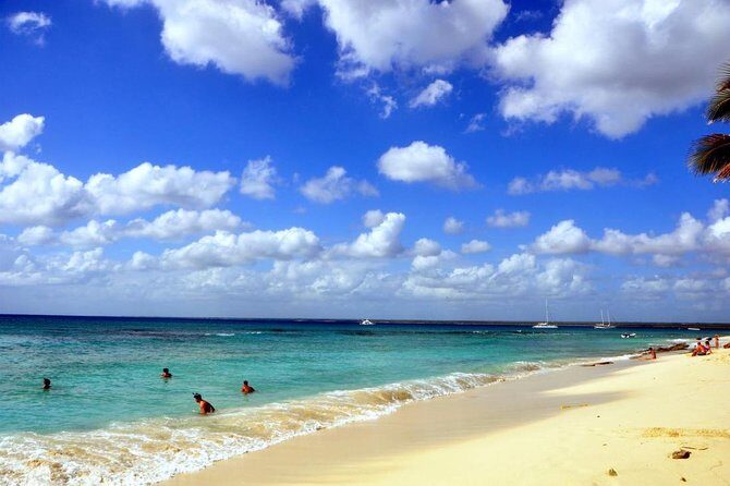 Catalina Island and Snorkeling - Full-day Trip - Authenticity and Reviews: What Actual Travelers Say