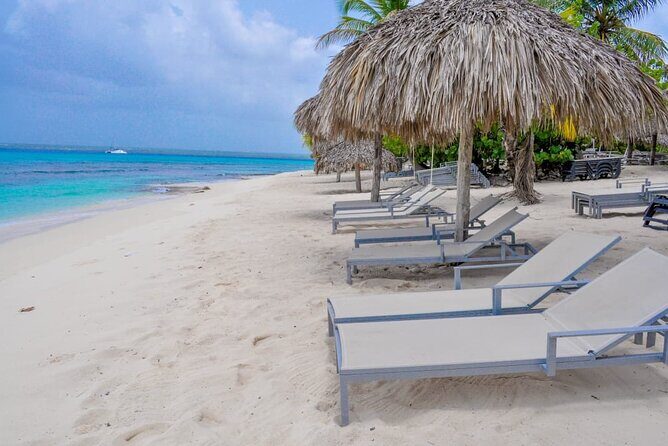 Catalina Island and Snorkeling - Full-day Trip - The Value Proposition