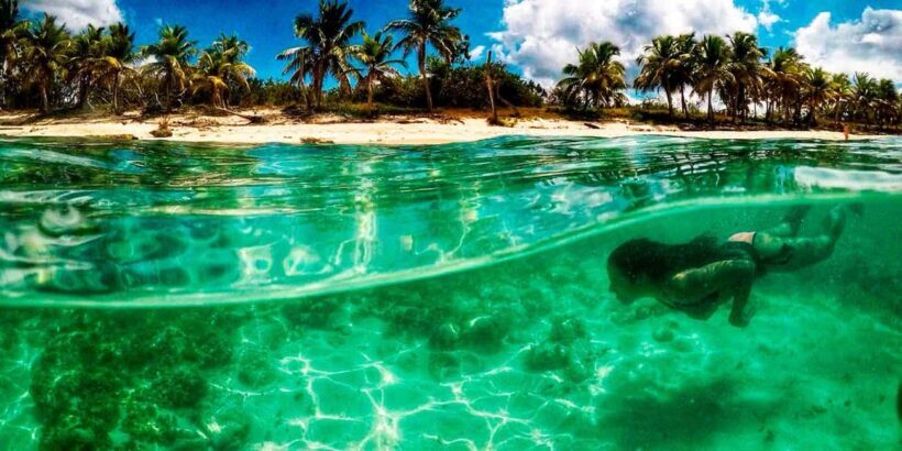 Catalina Island and Snorkeling Tour - What Makes This Tour Stand Out