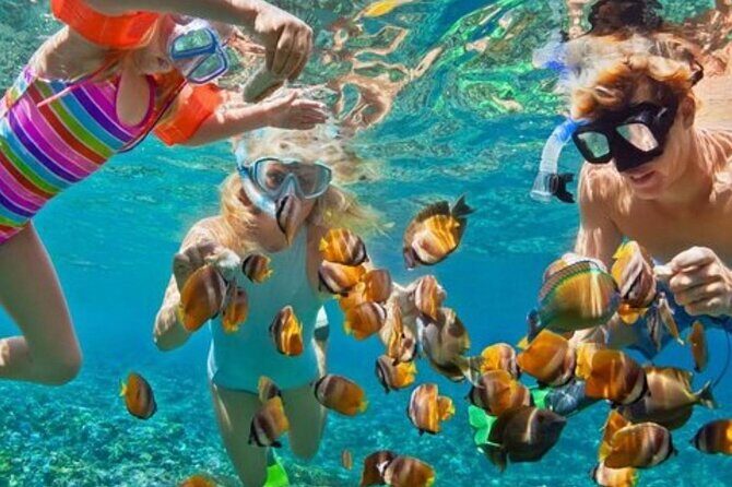 Catalina Island, Aventure of Snorkel, beach & Buffet Lunch - The Sum Up