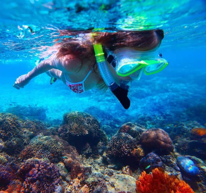 Catalina Island Catamaran Cruise with Lunch from Bayahibe - The Sum Up