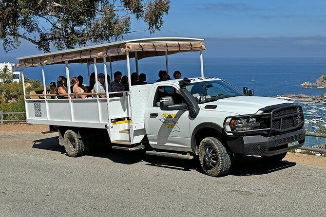 Catalina Island City and Scenic Mt Ada Tour - What to Expect from the Tour