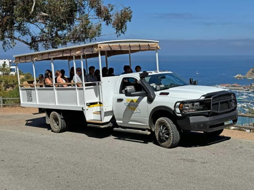Catalina Island City & Scenic Mt. Ada Tour - An In-Depth Look at the Experience