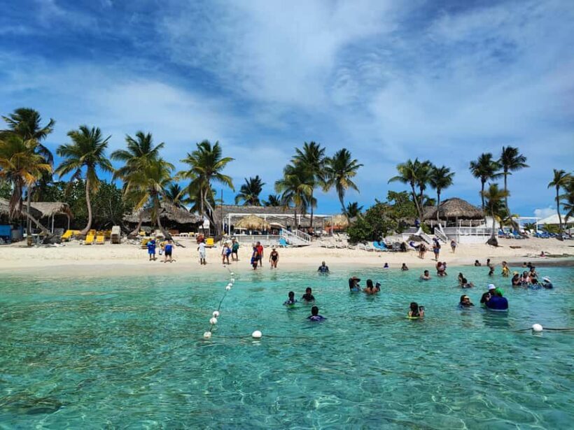 Catalina Island Comfort: Snorkeling & Catamaran Experience - Key Points