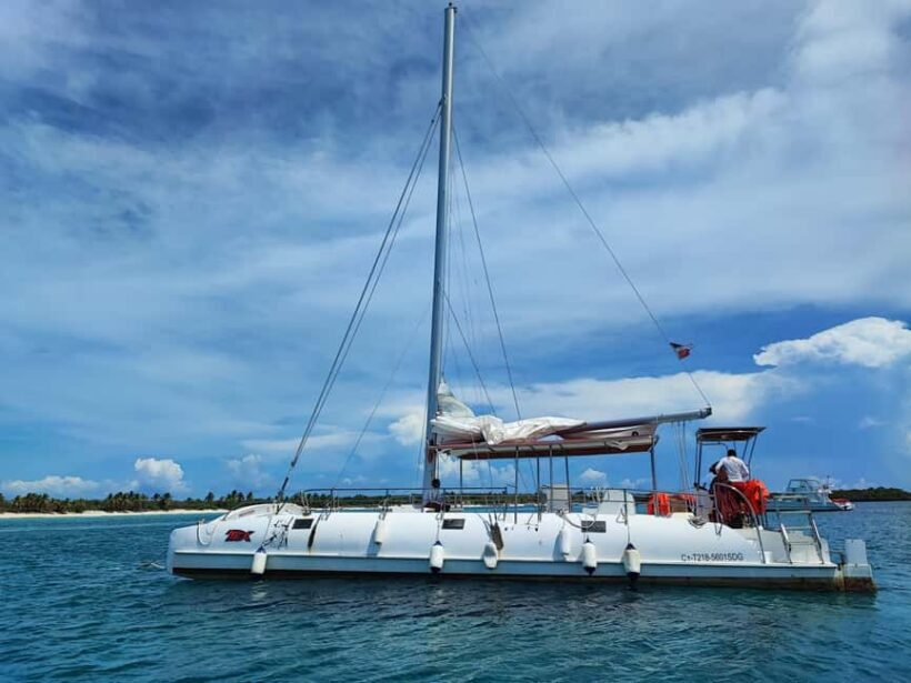 Catalina Island Comfort: Snorkeling & Catamaran Experience - The Experience in Detail