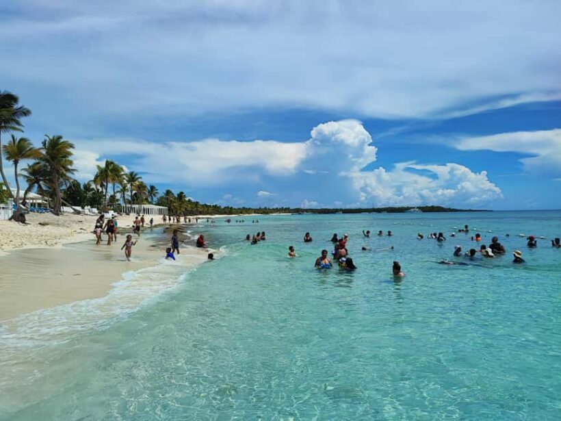 Catalina Island Comfort: Snorkeling & Catamaran Experience - Review Highlights from Travelers