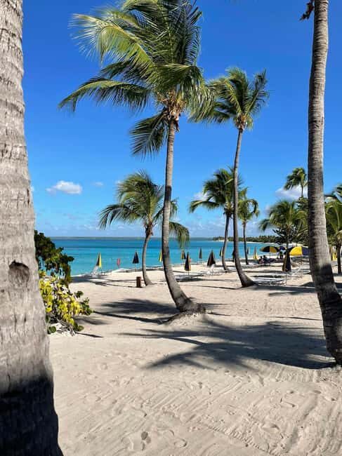 Catalina Island: Cruise, Snorkelling, Open Buffet & Drinks - What Reviewers Say