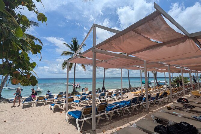 Catalina Island Day Tour  Explore the Jewel of the Caribbean - Who Would Love This Tour?