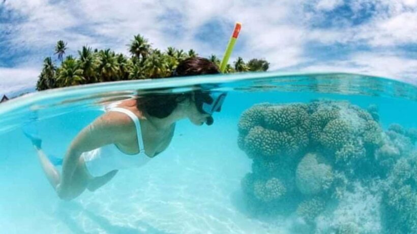 Catalina Island: Day Trip - Best Snorkeling! - Transportation and Timing