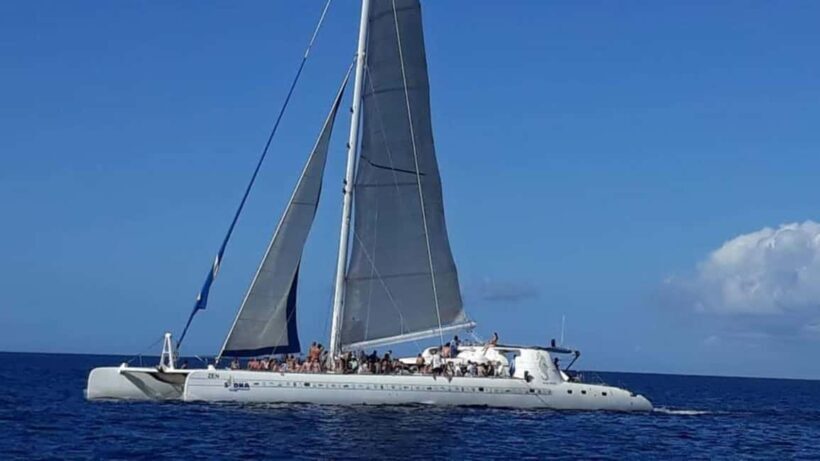 Catalina Island: Day Trip - Best Snorkeling! - Who Would Enjoy This Tour?