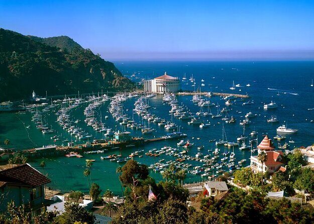 Catalina Island Day Trip from LAX area hotels with Undersea Adventure - A Practical Look at the Catalina Island Day Trip from LA