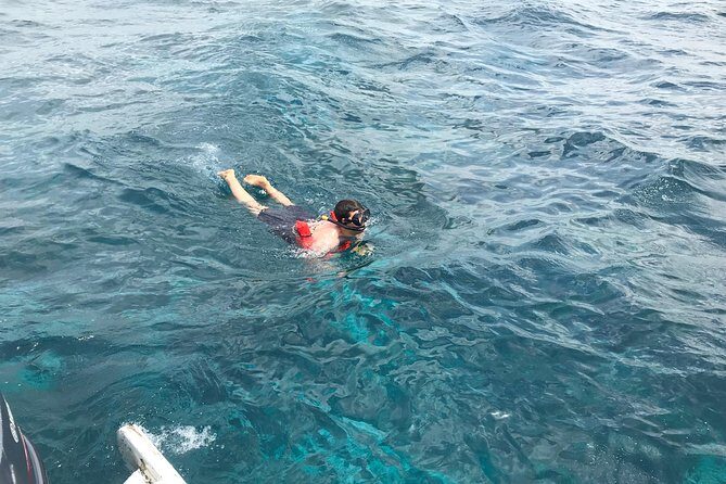 Catalina Island DayTrip + Great Snorkeling - Who Will Love This Tour?