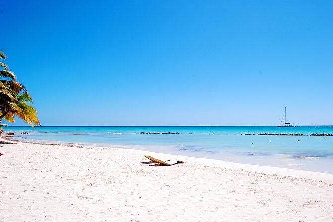 Catalina Island DayTrip + Great Snorkeling - The Sum Up