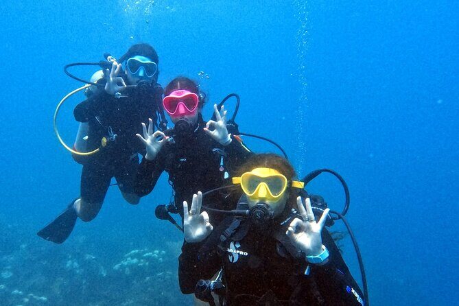 Catalina Island Diving - Practicalities and Considerations