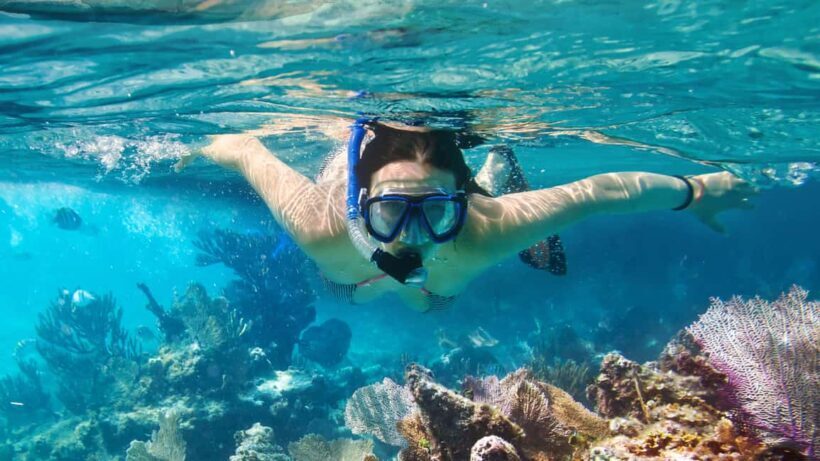 Catalina Island, even more pristine than Saona - Who Will Love This Tour?