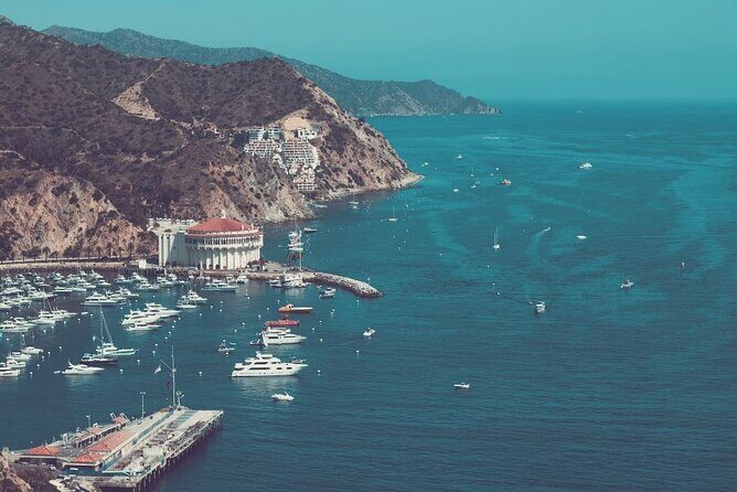 Catalina Island Ferry Avalon to Newport Beach - Final Thoughts: Is This Ferry Right for You?