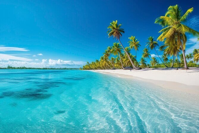 Catalina Island From Punta Cana - Introduction to the Catalina Island Experience