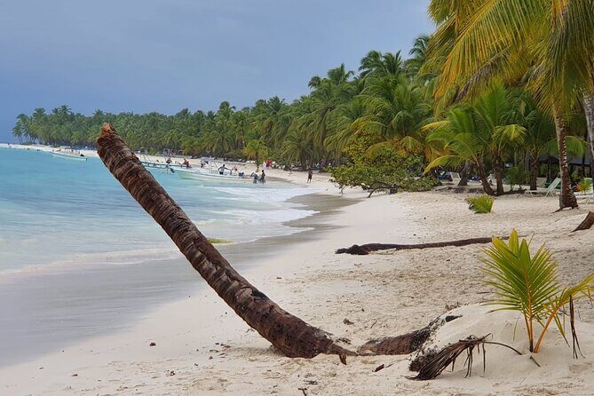 Catalina Island Full Day From Punta Cana - Key Points