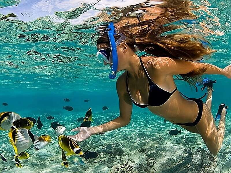 Catalina Island Full-Day Snorkeling + Lunch from Punta Cana - Who Should Consider This Tour?