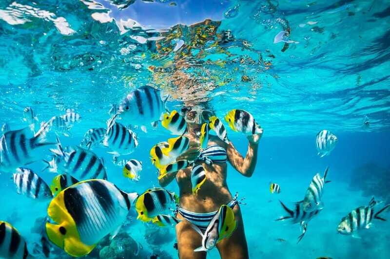 Catalina Island Full-Day Snorkeling + Lunch from Punta Cana - The Sum Up