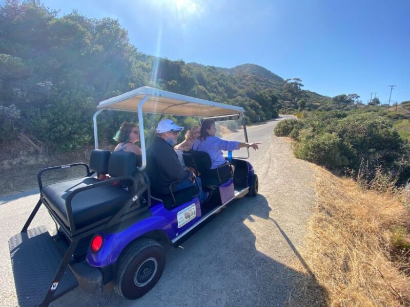 Catalina Island: Private Guided Golf Cart Tour of Avalon - Guides and Personalization