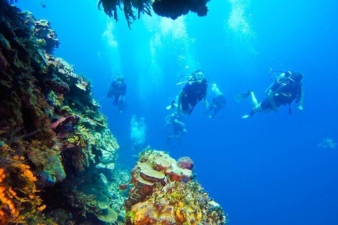 Catalina Island Scuba Diving Adventure The Wall & The Aquarium - Who Is This Tour Best For?