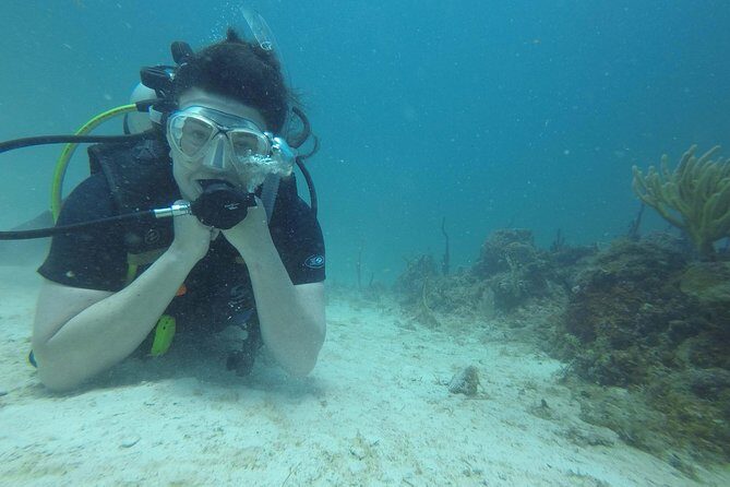 Catalina Island Scuba Diving - Amazing Full Day Tour! - The Underwater Highlights: Coral Reefs and Marine Life