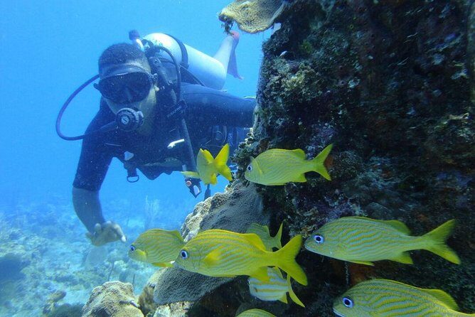 Catalina Island Scuba Diving and Snorkeling Tour from Punta Cana - Unpacking the Experience: What to Expect