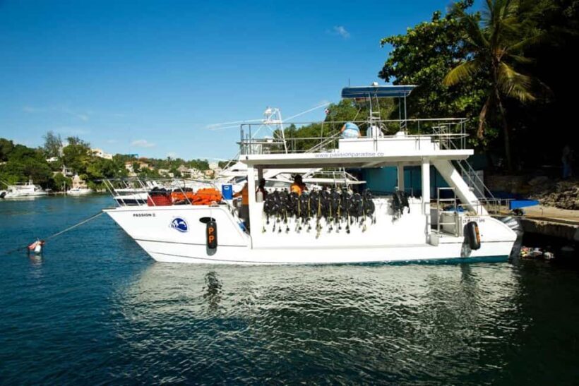 Catalina Island Scuba Diving Tour from Punta Cana - Key Points