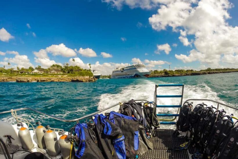 Catalina Island Scuba Diving Tour from Punta Cana - Practical Tips for Travelers