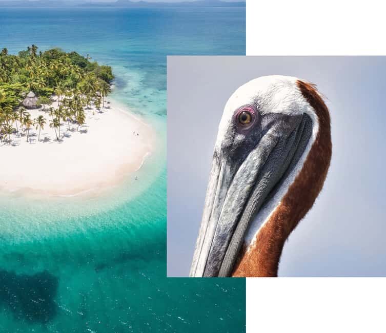 Catalina Island snorkeling Dominican Republic - Key Points