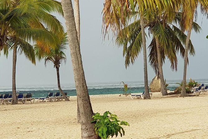 Catalina Island Snorkeling: Explore its Crystal Clear Waters - An In-Depth Look at the Catalina Island Snorkeling Tour