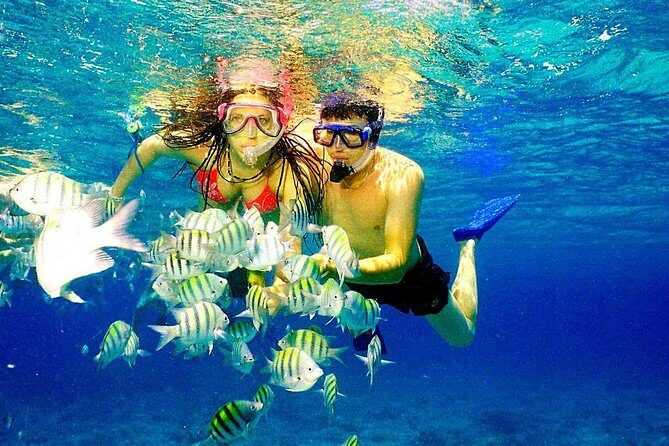 Catalina Island & Snorkeling Paradise From Punta Cana - The Value in the Details