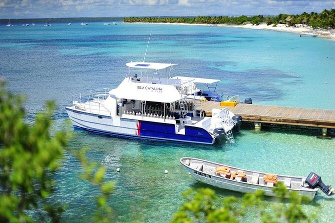 Catalina Island & Snorkeling Tour - What to Expect from the Tour