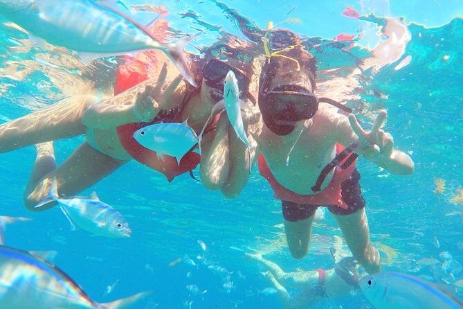 Catalina Island & Snorkeling Tour - Final Thoughts