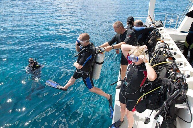 Catalina Island tour - What to Expect from the Catalina Island Tour