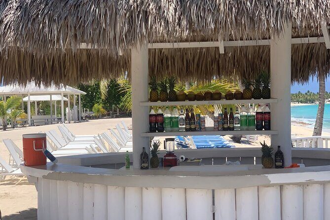 Catalina Island tour - The Sum Up: Is This Tour Worth It?