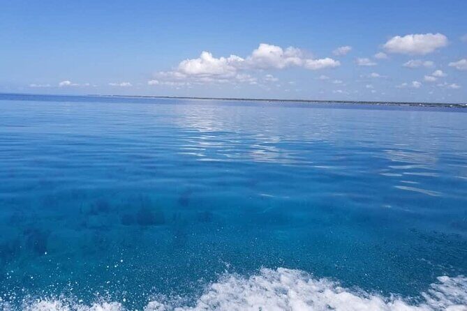 Catalina Island Tour Snorkel Beach Dominican Lunch - Who Should Consider This Tour?