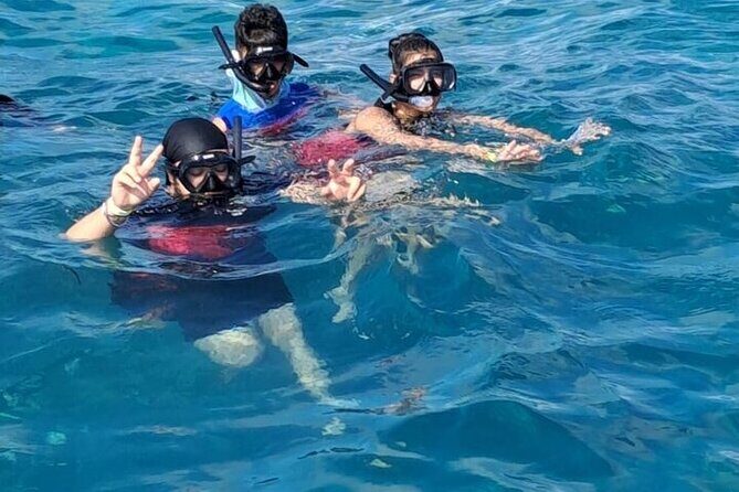 Catalina Island Tour with Lunch and Transportation Included - Starting Point: Easy Pickup and Transportation