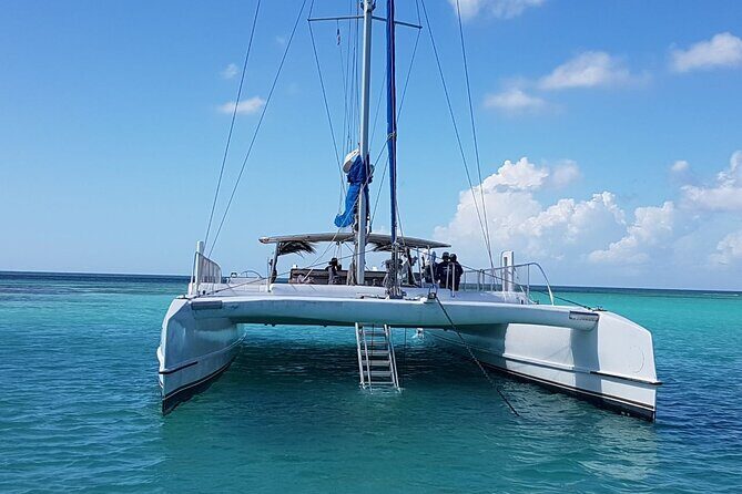 Catalina Island Tour with Lunch and Transportation Included - Authenticity and Overall Experience