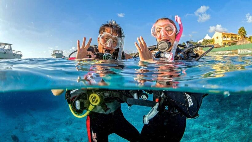 Catalina Island Tour with Snorkelling and Lunch - Key Points