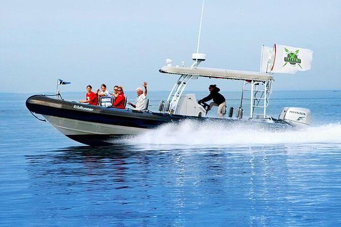 Catalina Island Trip with Hotel transfers & Optional tours - The Experience: What You’ll Really Do and See