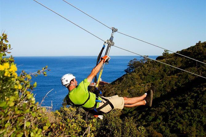 Catalina Island Trip with Zipline Eco Tour and Hotel Transfers - Authentic Experiences and Feedback