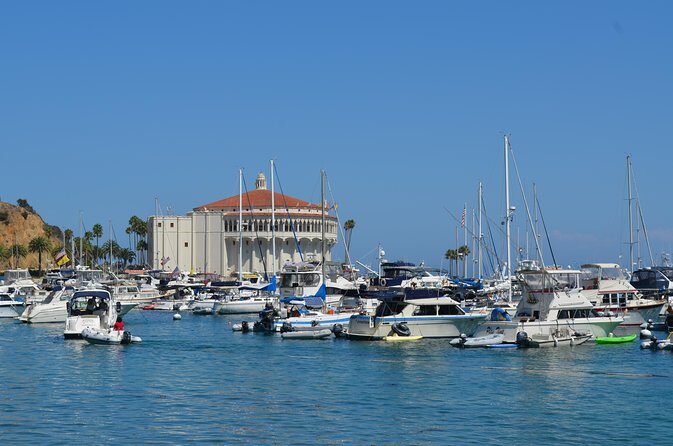 Catalina Island w/Discover Avalon Scenic Tour & Hotel transfers - A Well-Organized Day on Catalina Island