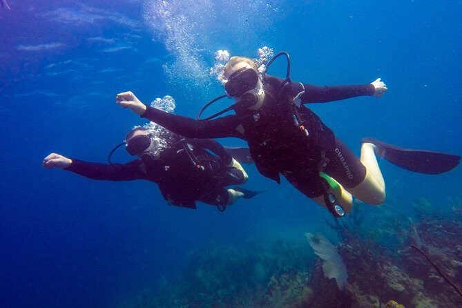 Catalina Island With Scuba Diving - Amazing Full Day Tour Activity - The Full Itinerary: What You Can Expect