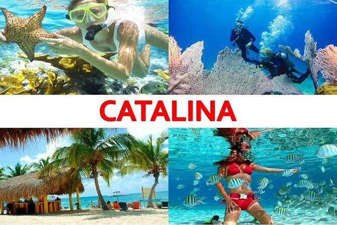 Catalina Island+Snorkeling - An In-Depth Look at the Catalina Island Snorkeling Tour