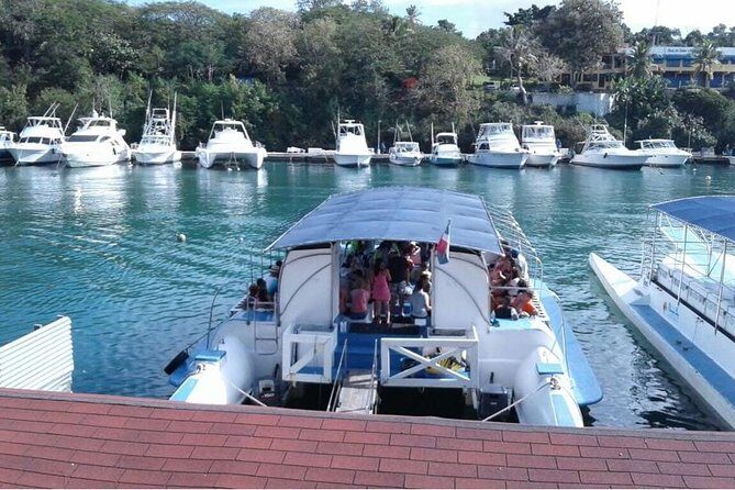 Catalina Island+Snorkeling - FAQs