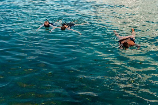 Catalina Sailing Experience in Punta Cana with Food and Drinks - Cost and Value: Does It Match the Price?