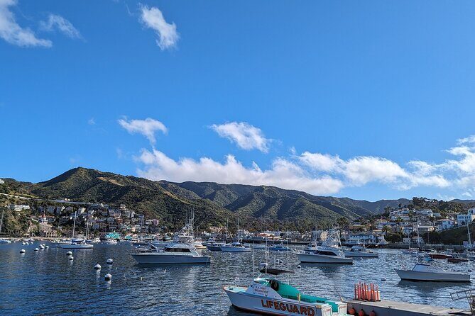 Catalina Scavenger Hunt Walking Tour and Game - Itinerary Breakdown: What You’ll See and Do