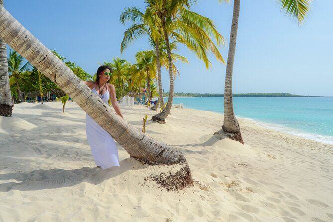 Catalina Snorkeling Wall and Altos Chavon Tour - Transportation, Group Size, and Timing